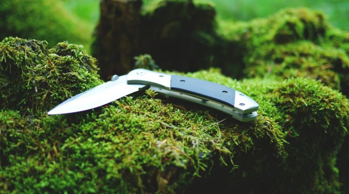 Top 15 Best Small Pocket Knives in 2025 - A Better Kit